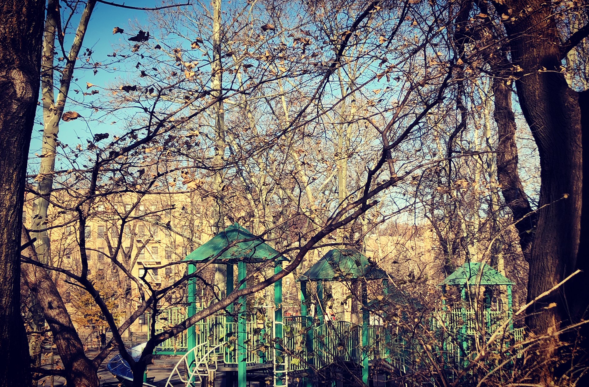 La Tolteca 2.0 Issue #5 September 4, 2020 – Ana Castillo